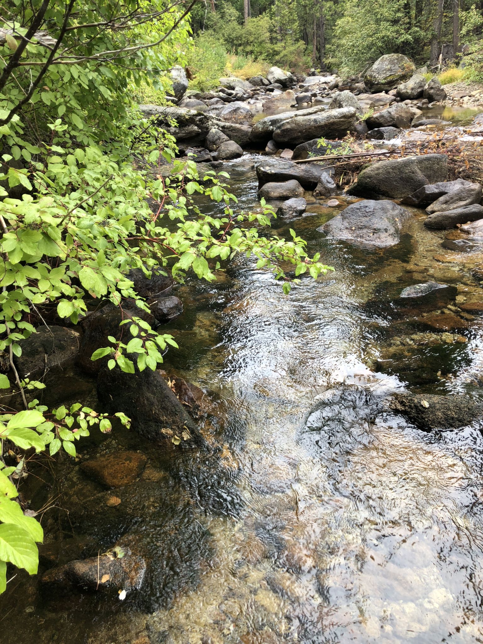 Strawberry Raw Water Pump Station Design Improvements for El Dorado ...
