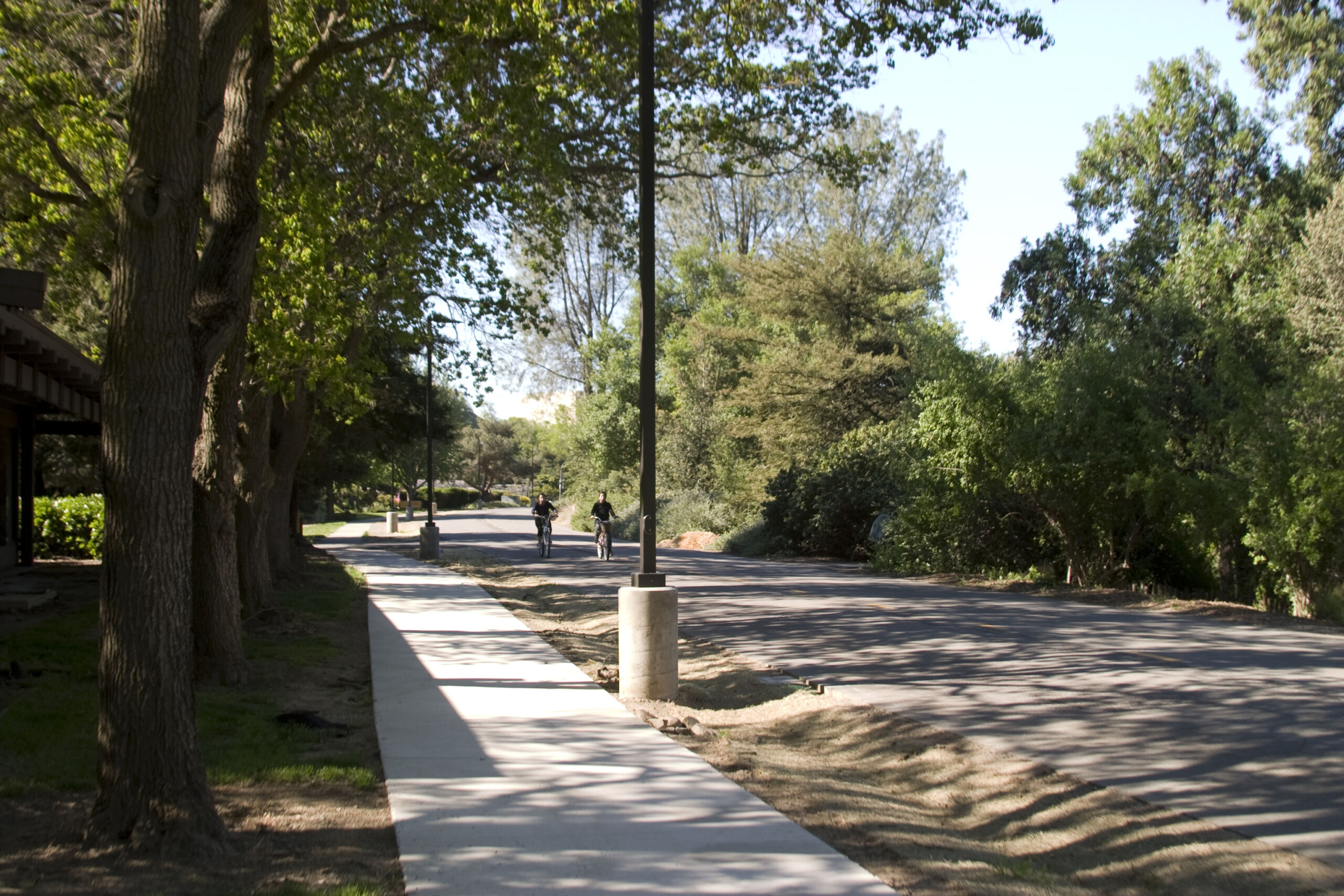UC Davis Bike and Pedestrian Pathways – Bennett Engineering